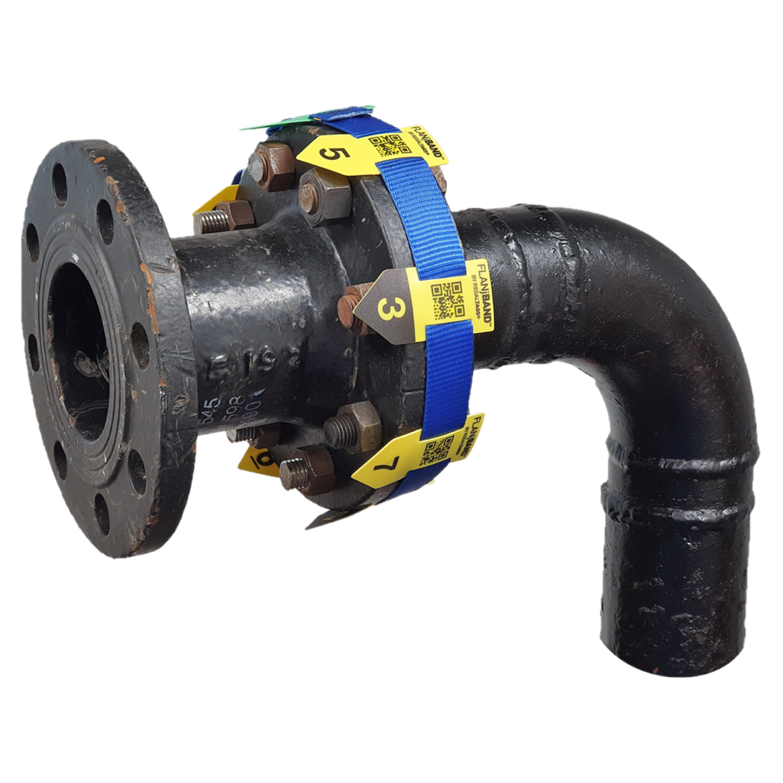 FLANjBAND® | REGALTAG®